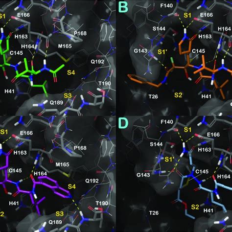 Output Regarding The Covalent Docking Investigation Considering