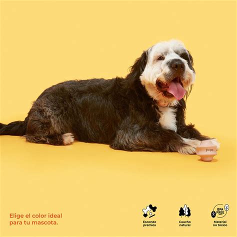 Kong Juguete Perro Peps Caucho Interactivo Rellena Carulla