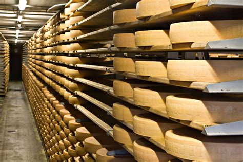 Americas 139 Billion Dollar Cheese Surplus Is Every Cheese Lovers Dream