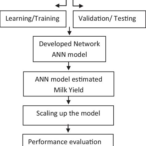 Flowchart Of The Neural Network Structure Download Scientific Diagram