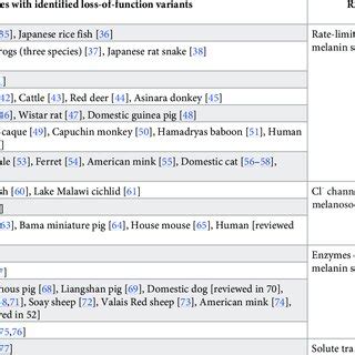 Loss Of Function Phenotypes Of Melanogenesis Genes Across Vertebrates
