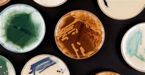 Ross Taylor On Linkedin Superbugs The Fight For Our Lives Science