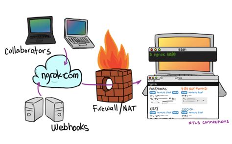 ngrok a free and easy online deployment service