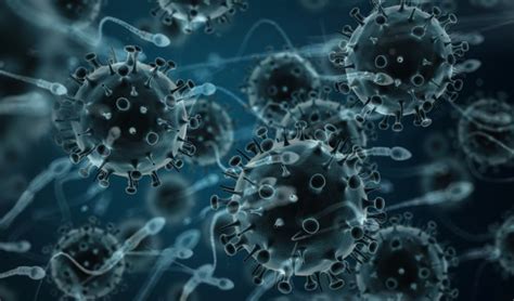 Virus Sars Cov 2 Ditemukan Di Sperma