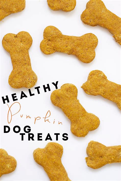 The Top 20 Ideas About Healthy Dog Snacks Best Diet And Healthy