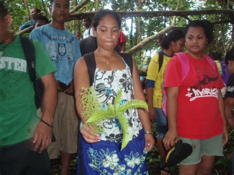 Lycophytes And Monilophytes Hike