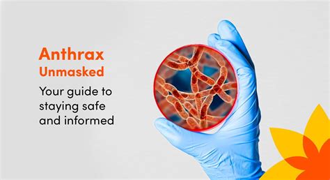 Anthrax Unmasked Your Guide To Staying Safe And Informed