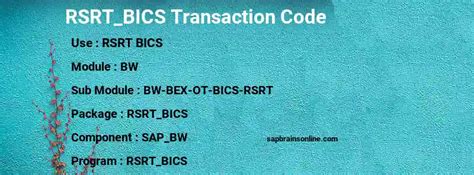 RSRT BICS SAP Tcode For RSRT BICS