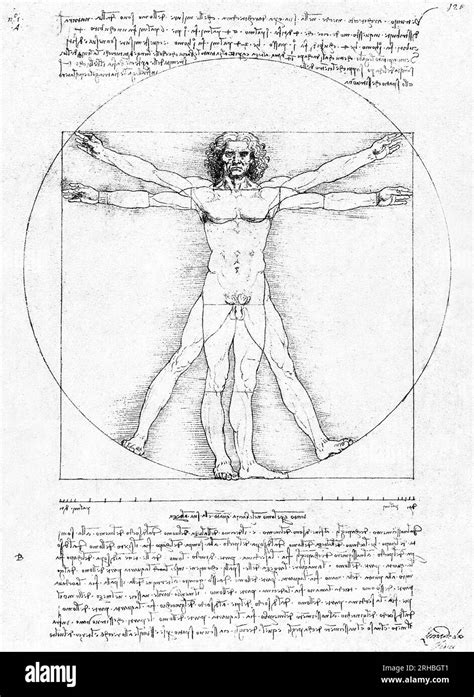 Leonardo Da Vincis Vitruvian Man Famous Drawing Original From