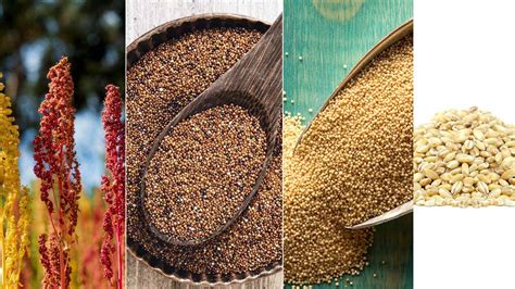 Recomiendan El Consumo De Cereales Para Evitar La Anemia En Niños