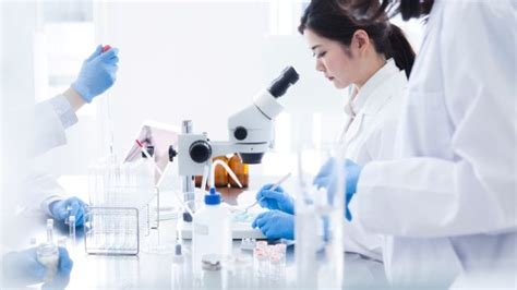 文学人文科学研究とは魅力や研究内容を紹介Focus