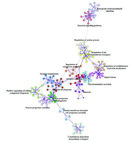 Metascape Enrichment Network Visualization Download Scientific Diagram