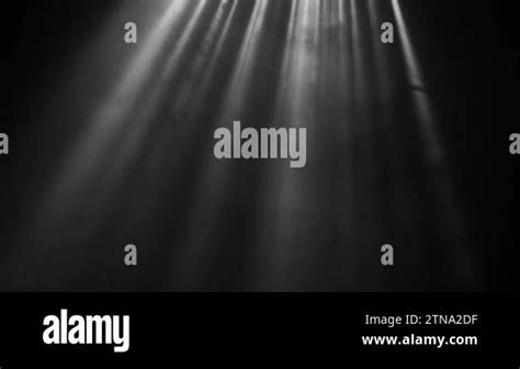 Motion Graphic 4k Flying Into Digital Technologic Tunnel3d Big Data