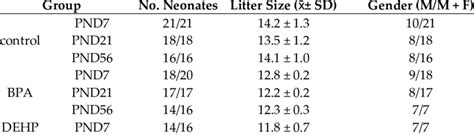 Number Of Pregnancies Neonates Born Average Litter Size Gender Ratio