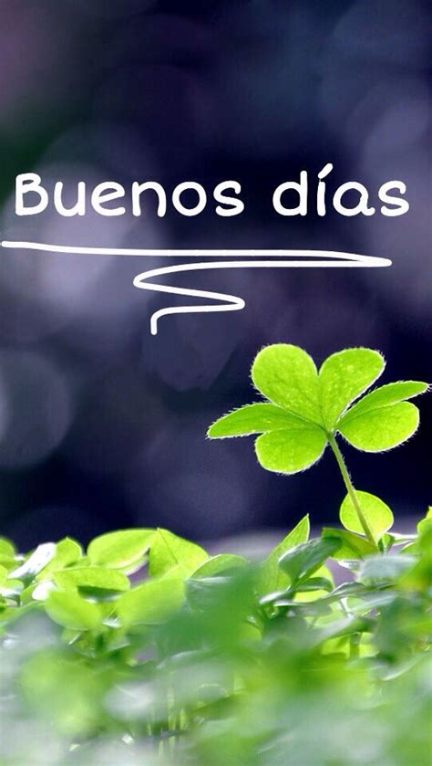 45 imágenes con bellos mensajes para decir buenos dias Todo imágenes