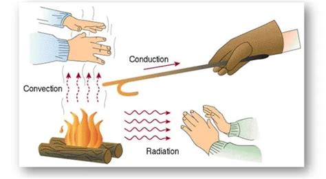 Equilibrio TÉrmico Ejemplos Que Impactan Tu Comprensión