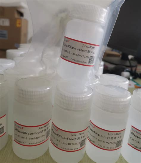 Dnase Rnase Free