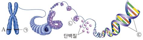 미래엔 엠티처