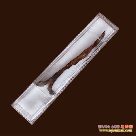 여우생식기 숫여우 상품 상세정보