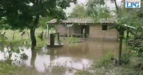 Inundaciones Causan Daños A Cultivos En San Miguel La Prensa Gráfica