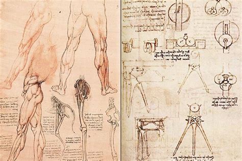 Léonard de Vinci ses croquis ses maquettes