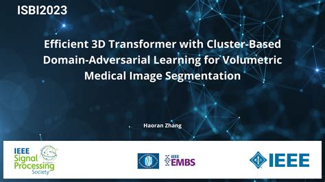 Efficient 3d Transformer With Cluster Based Domain Adversarial Learning For Volumetric Medical