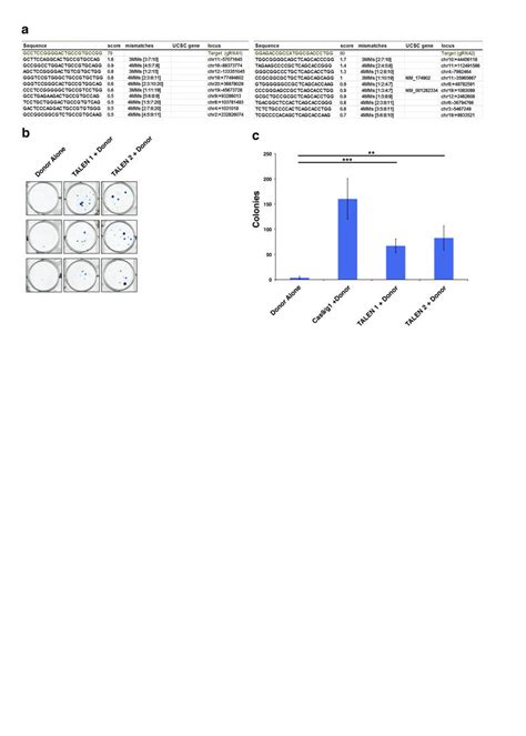 A Specificity And Mismatch Scores For HTT GRNA1 And 2 Assessed By The