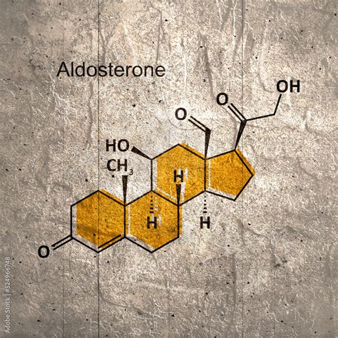 Aldosterone Mineralocorticoid Hormone Produced By The Adrenal Gland