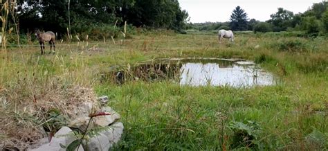 2023 Awards Winners Spotlight Best Practice Small Scale Nature