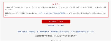 システムエラー システムエラー Japanese English Dictionary Japaneseclass Jp