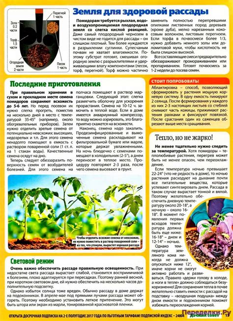 Дачный совет 4 2017 * Переделки.Ру