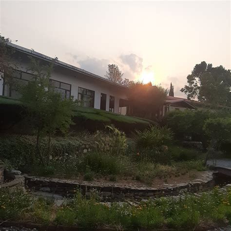 Relaxation At A Beautiful Peak Review Of Tree Of Life Junoon In The Hills Kumaon Siltona