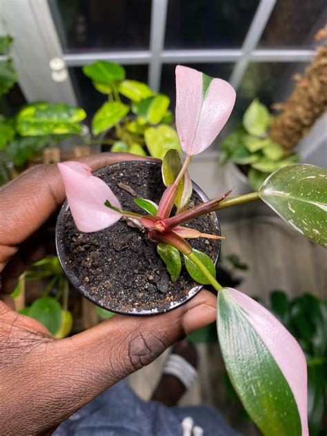 Will This Sort Itself Out Over The Next Couple Days Or Do I Need To Do Something R