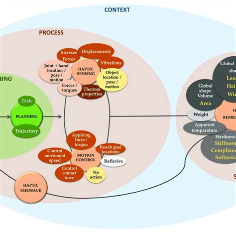Exploratory Procedures Associated With Haptic Features As In Lederman Download Scientific