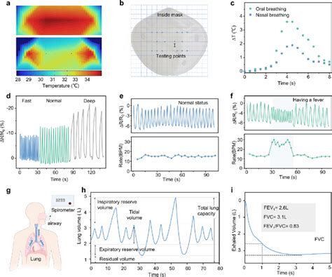 Real Time Respiratory Monitoring A Interpolated Images Showing The Download Scientific