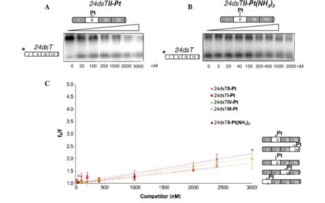 Decrease Of The Binding Affinity Of Trf2 For 24dst Telomeric Sequences