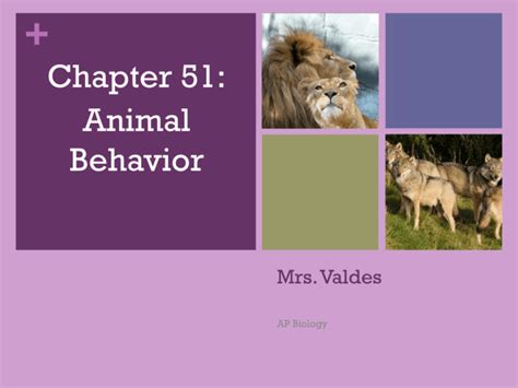 Ch 51 Animal Behavior