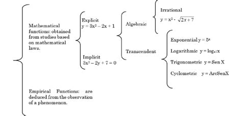 Classification Of Functions Download Scientific Diagram