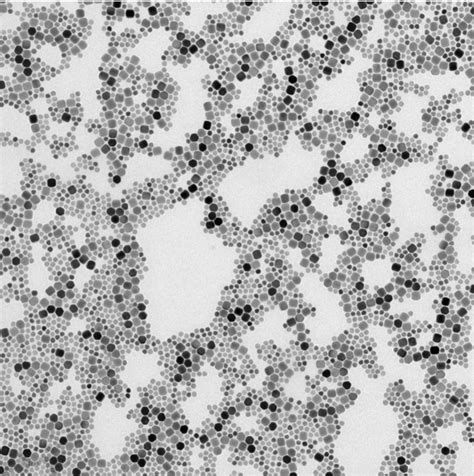 Custom Classification Qutem