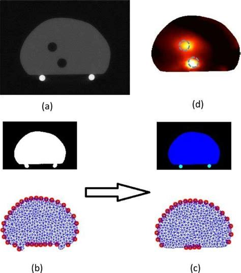 The Finite Element Model Mesh Was Created As Illustrated Here Download Scientific Diagram