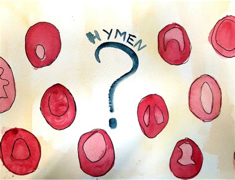Myths Of Virginity And Hymens A Response To Tis Revelations Laura