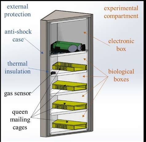 BeeO Logical S First Iteration Section Through Orange Marked Parts