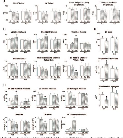 Cardiac Stem Cell Semantic Scholar