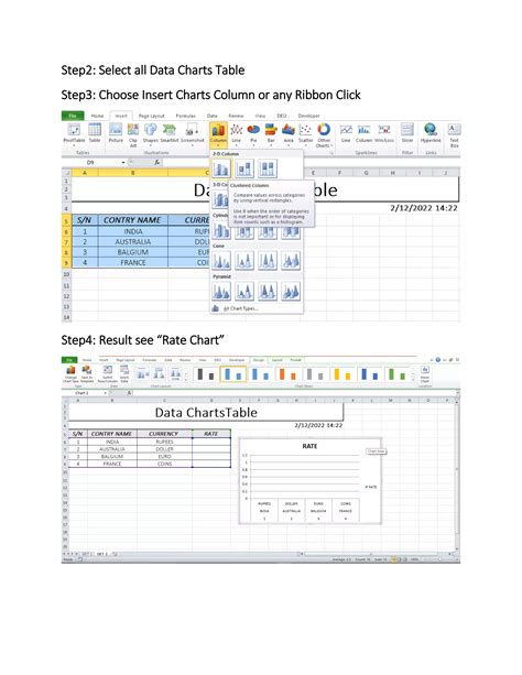 excel basic data entry pdf