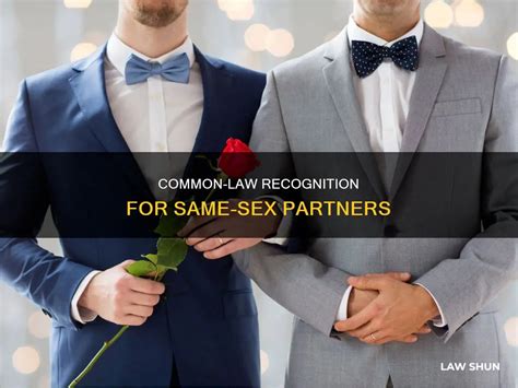 Common Law Recognition For Same Sex Partners Lawshun