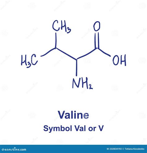Valine Is An Essential Amino Acid Chemical Structural Formula And
