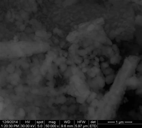 SEM Images Obtained On Calcium Phosphate A And Calcium Phosphate Download Scientific Diagram