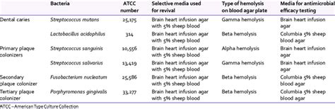 Details Of The Bacteria Used For Antimicrobial Efficacy Testing