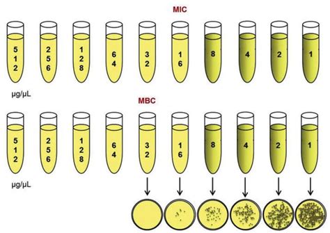 Mic Method Definition At Edith Cockerham Blog