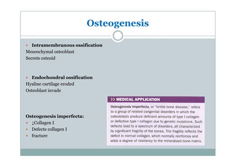 Intramembranous Ossification